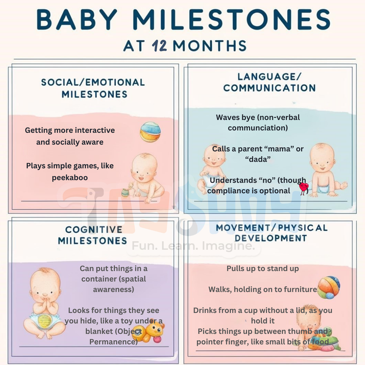 Baby Development Milestones - 12 Months – MaJolies