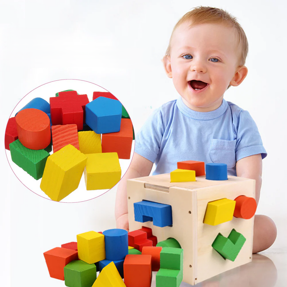 15 Hole Shape Sorter – Educational Wooden Toy for Toddlers | MaJolies